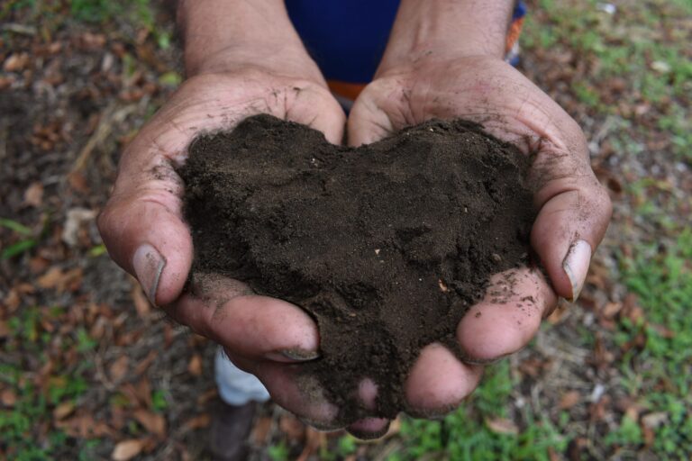 Quick Look! Download an ROA Overview here - Regenerative Organic Alliance