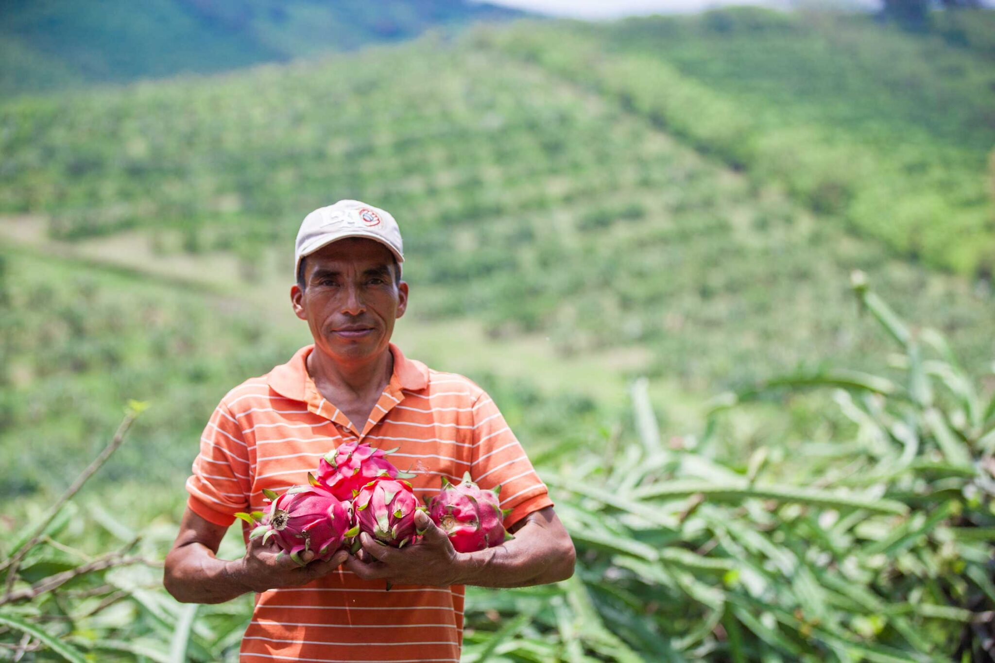 Regenerative Organic Certified: Farm like the world depends on it