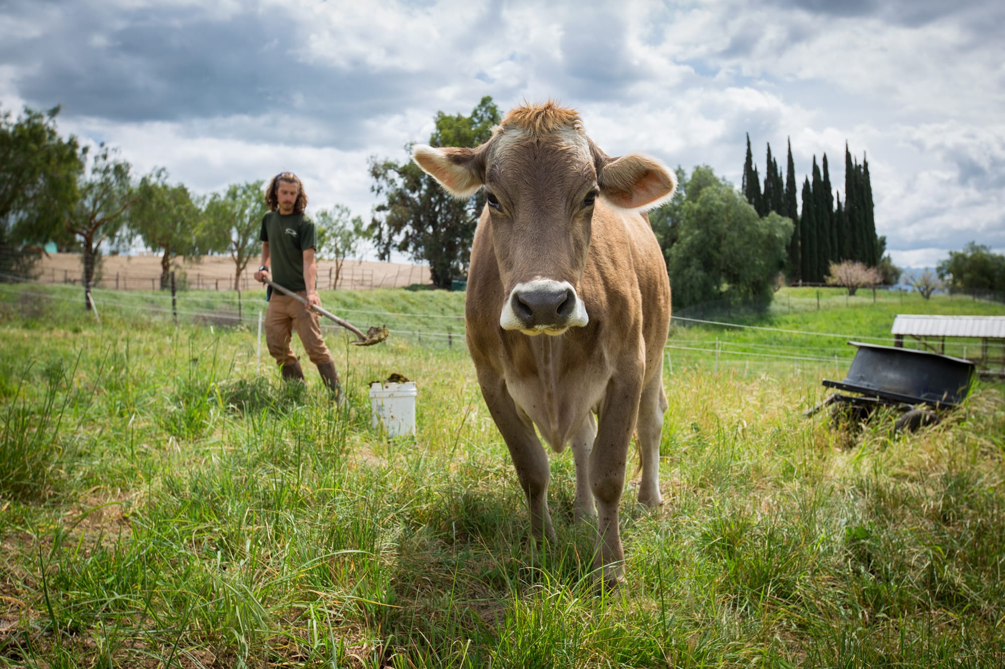 Regenerative Organic Certified: Farm like the world depends on it